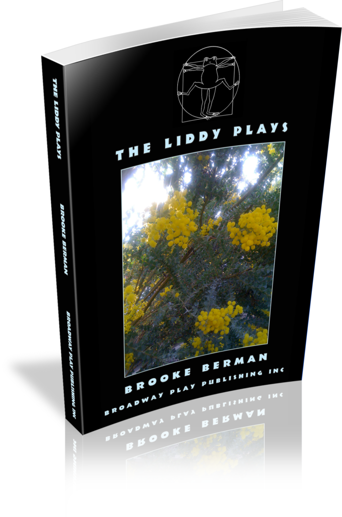 The Liddy Plays – Broadway Play Publishing Inc